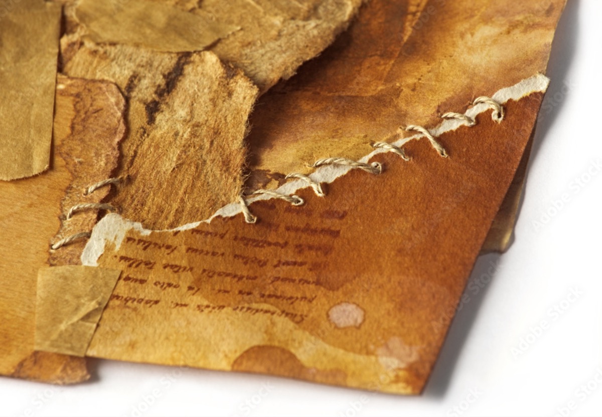 Vellum & Parchment Repair & Restoration - Kelsey Book & Paper Conservation